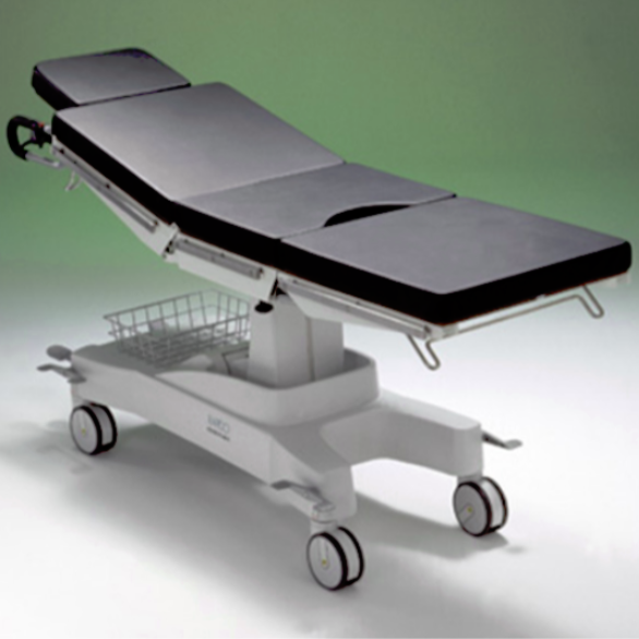 El Shamel HealthCare