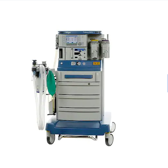 El Shamel HealthCare