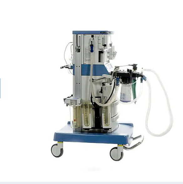 El Shamel HealthCare