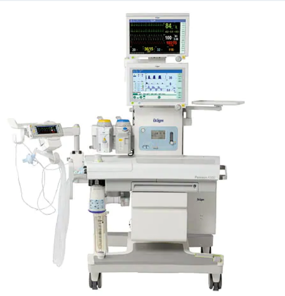 El Shamel HealthCare